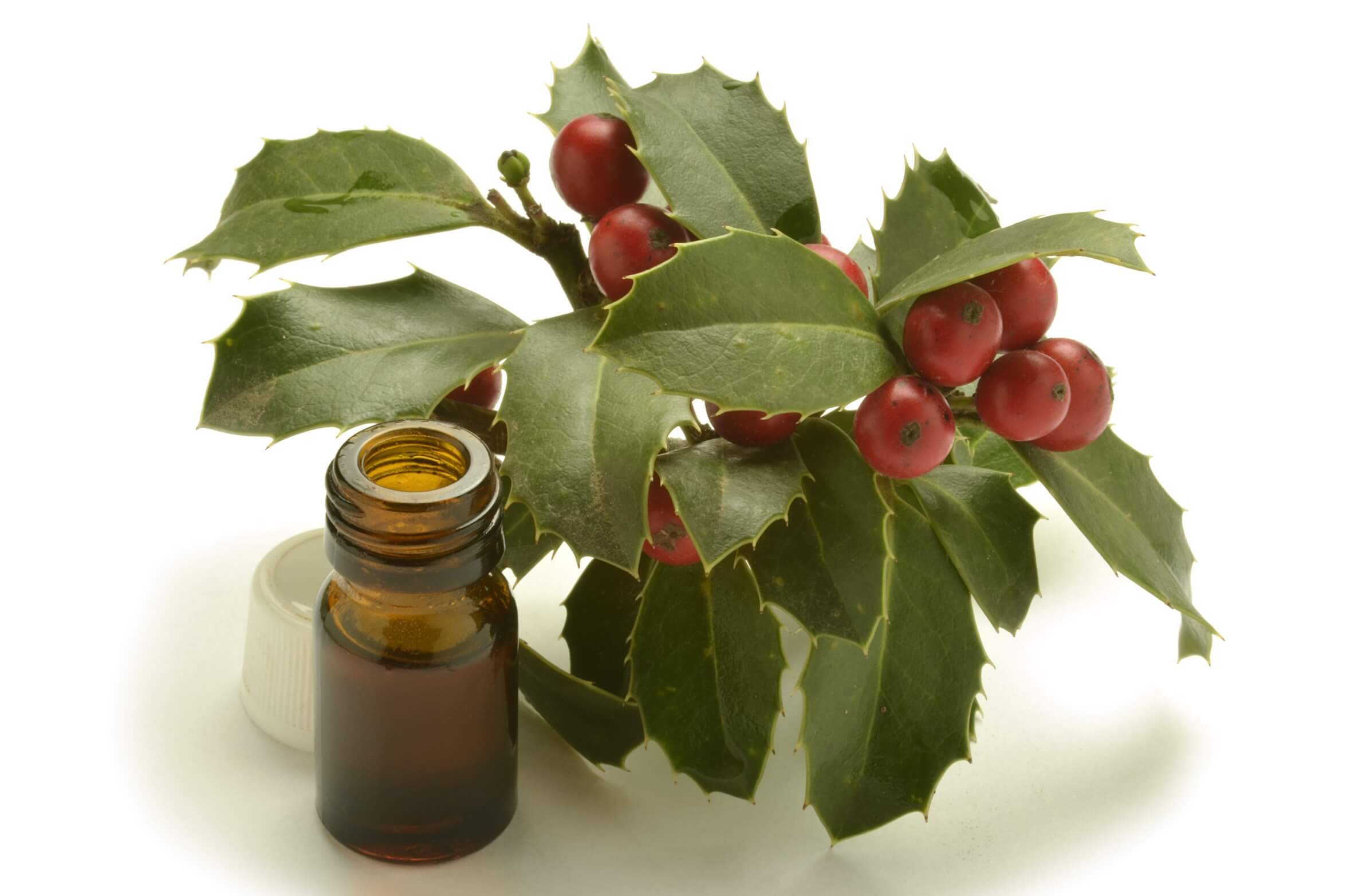 Rusco, il rimedio che protegge vene e microcircolo - Riza.it