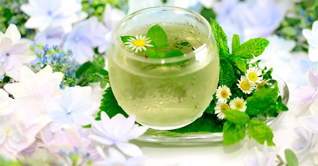 Tisane: puoi gustarle anche con i primi caldi - Riza.it